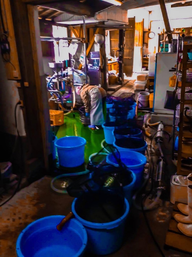 Ueda : saké et friandises au cœur de la préfecture de Nagano - VOYAPON FR