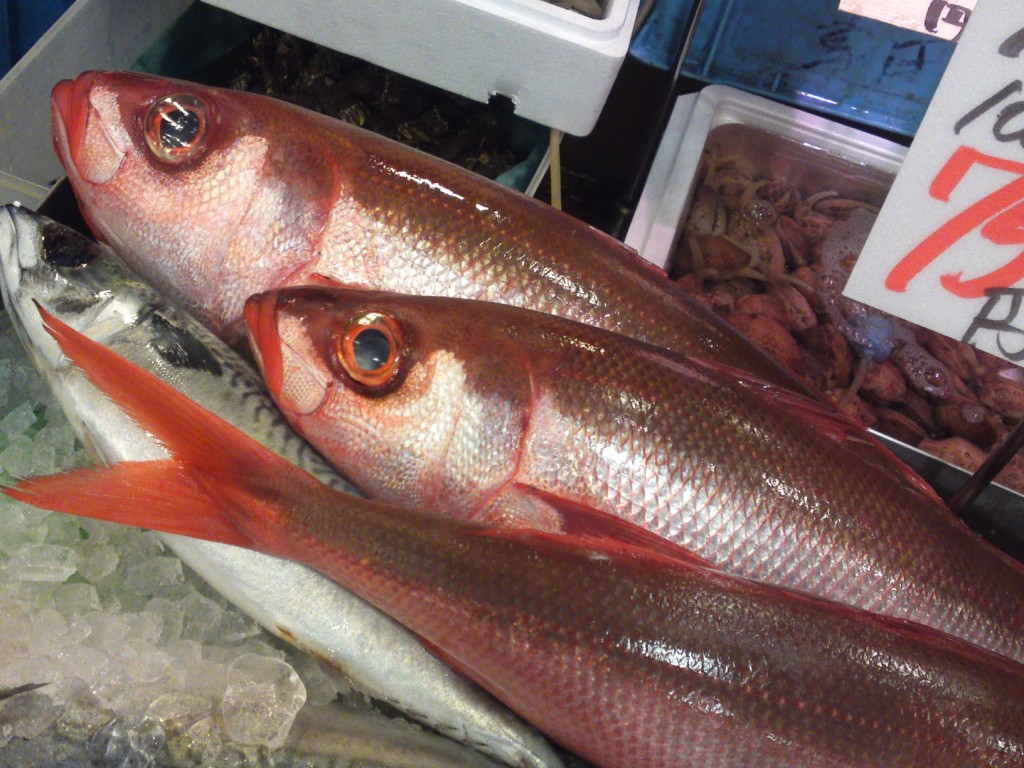 The Japanese-English Fish Lexicon - VOYAPON