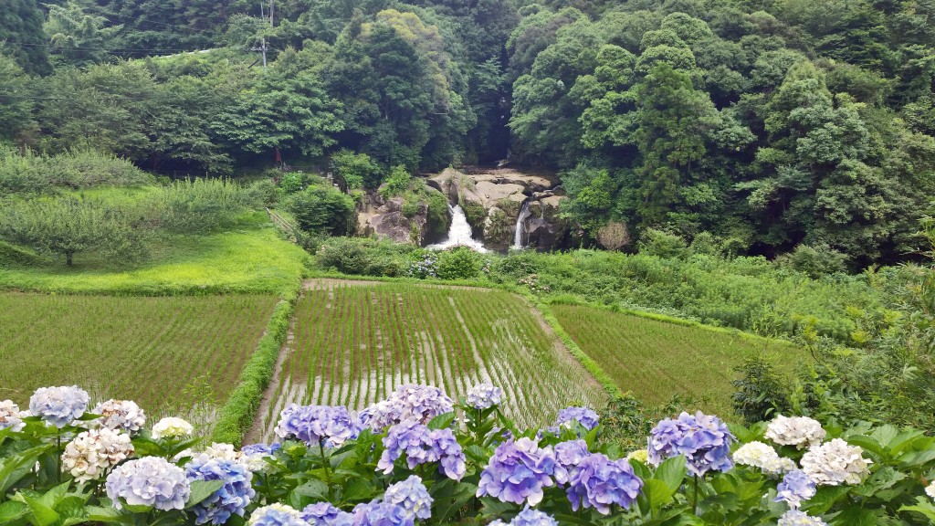 Fall in love with the nature and waterfalls around Kagoshima