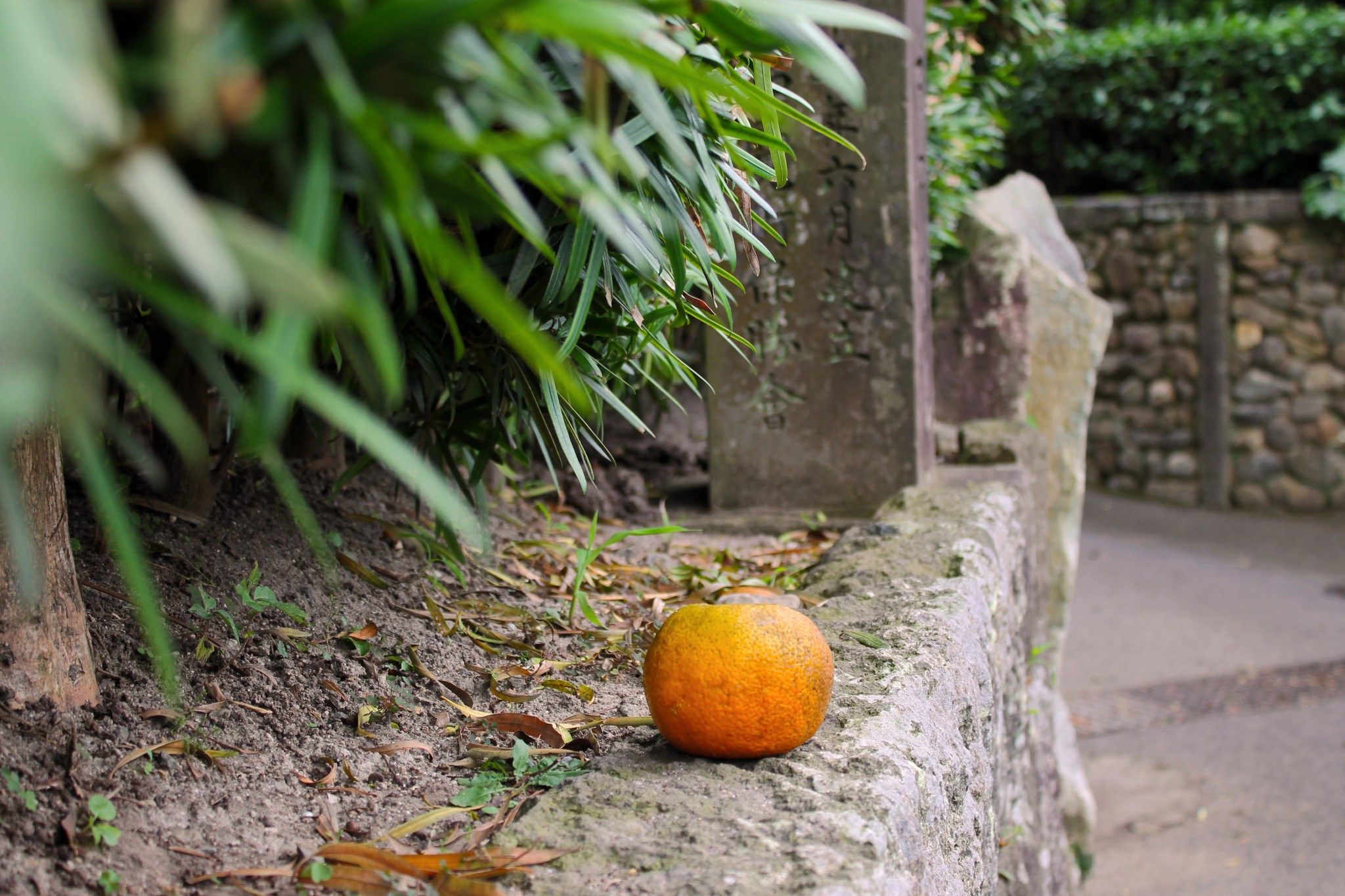 Stroll Like a Samurai in Kagoshima's Chiran Samurai Complex - VOYAPON