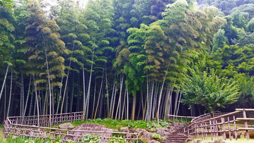 Sengan-en: How to Live Like a Lord in Past Japan - VOYAPON