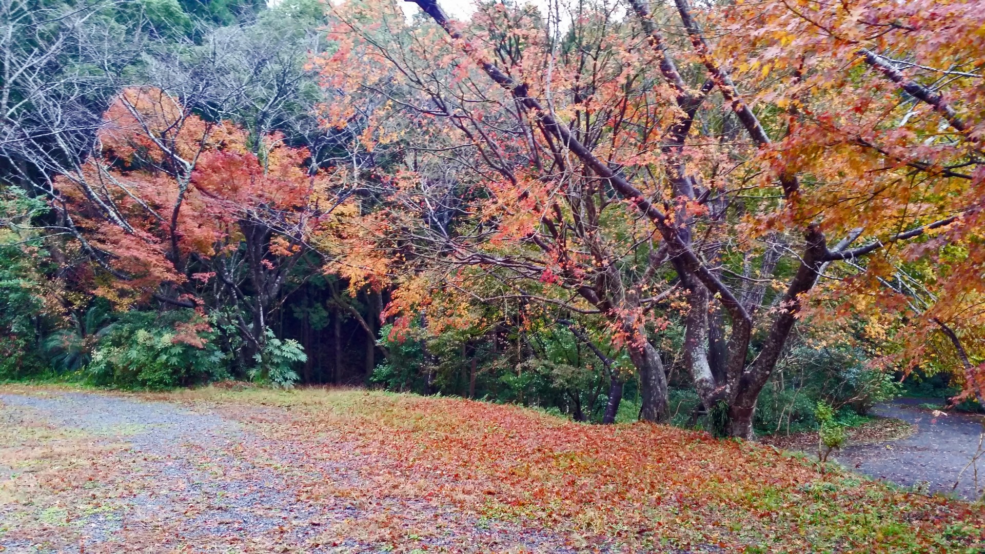 Midoriso Onsen, the best hot spring Kagoshima has to offer? - VOYAPON