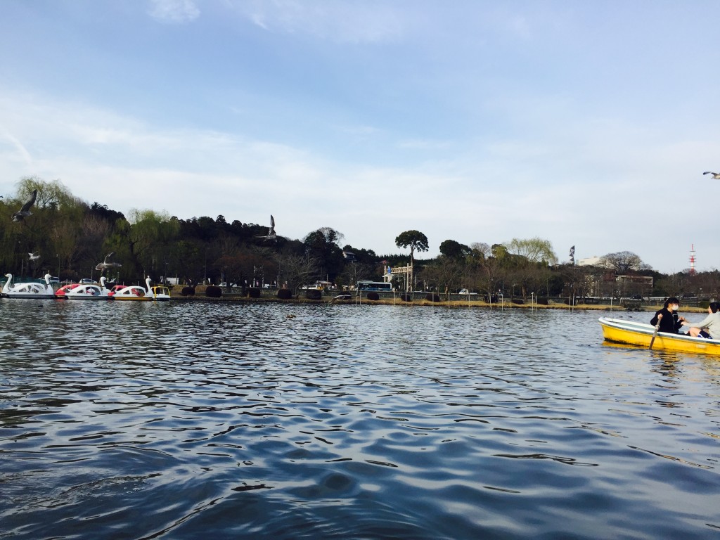 Exploring Mito, Ibaraki: Kairakuen garden and Senba lake