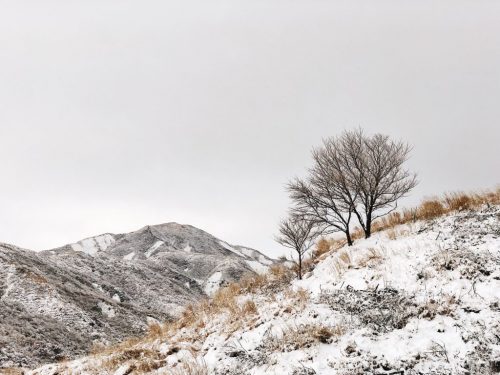 Mount Aso - A Beautiful Landscape in Winter - VOYAPON