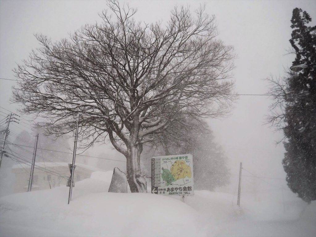 Discover Life in the Snow-Kissed Village of Yamakoshi - VOYAPON