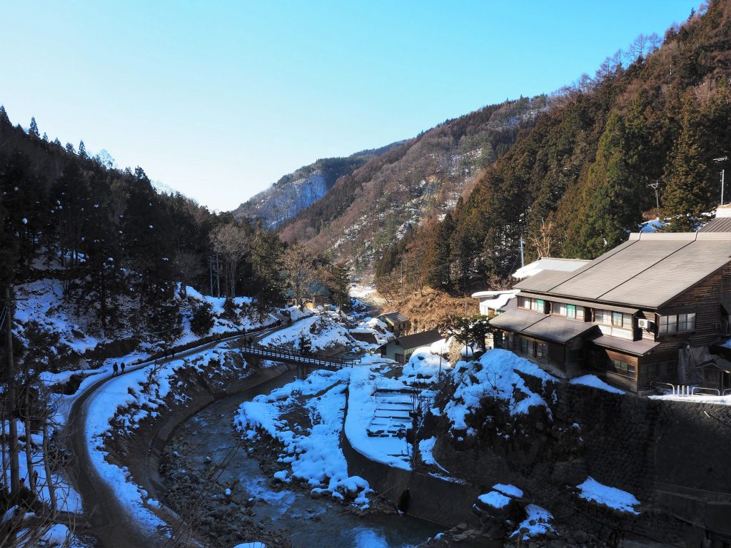 Meeting with Japanese Macaques at Snow Monkey Park in Shiga Kogen ...