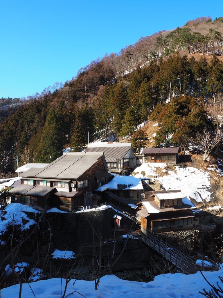 Meeting with Japanese Macaques at Snow Monkey Park in Shiga Kogen ...