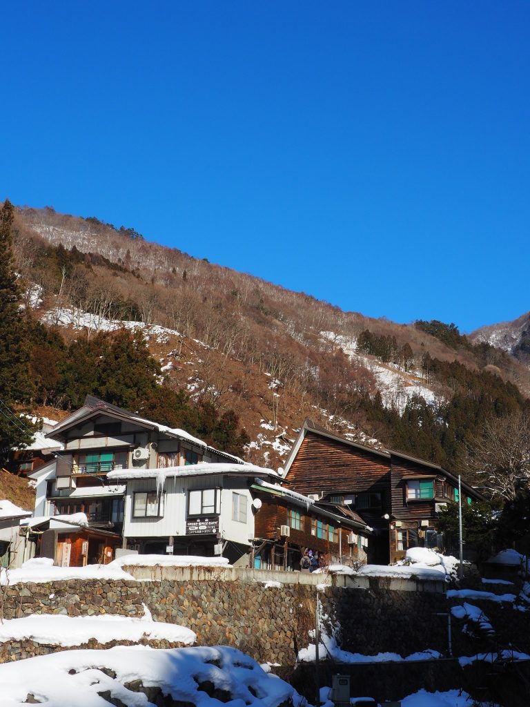 Meeting with Japanese Macaques at Snow Monkey Park in Shiga Kogen ...