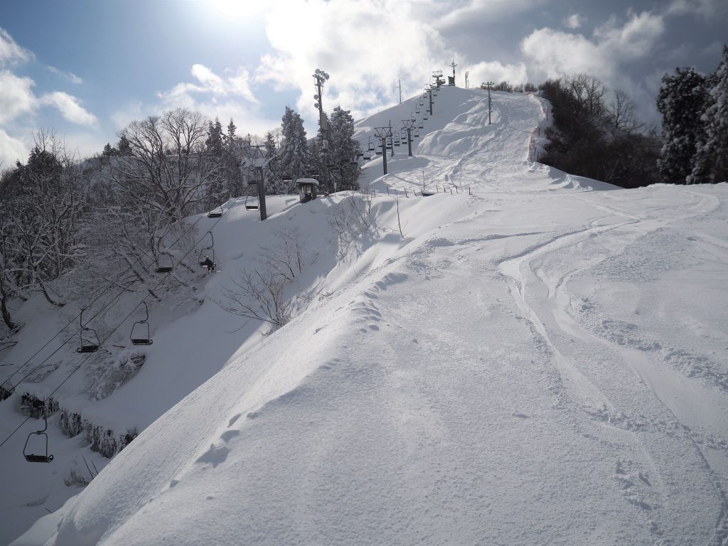 Ski and Snow-shoe experiences in Yamakoshi at Koshi Kogen - VOYAPON