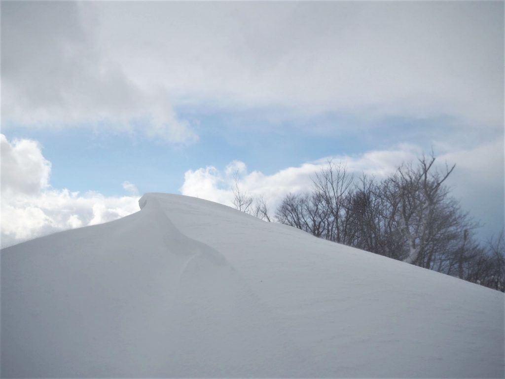 Ski and Snow-shoe experiences in Yamakoshi at Koshi Kogen - VOYAPON