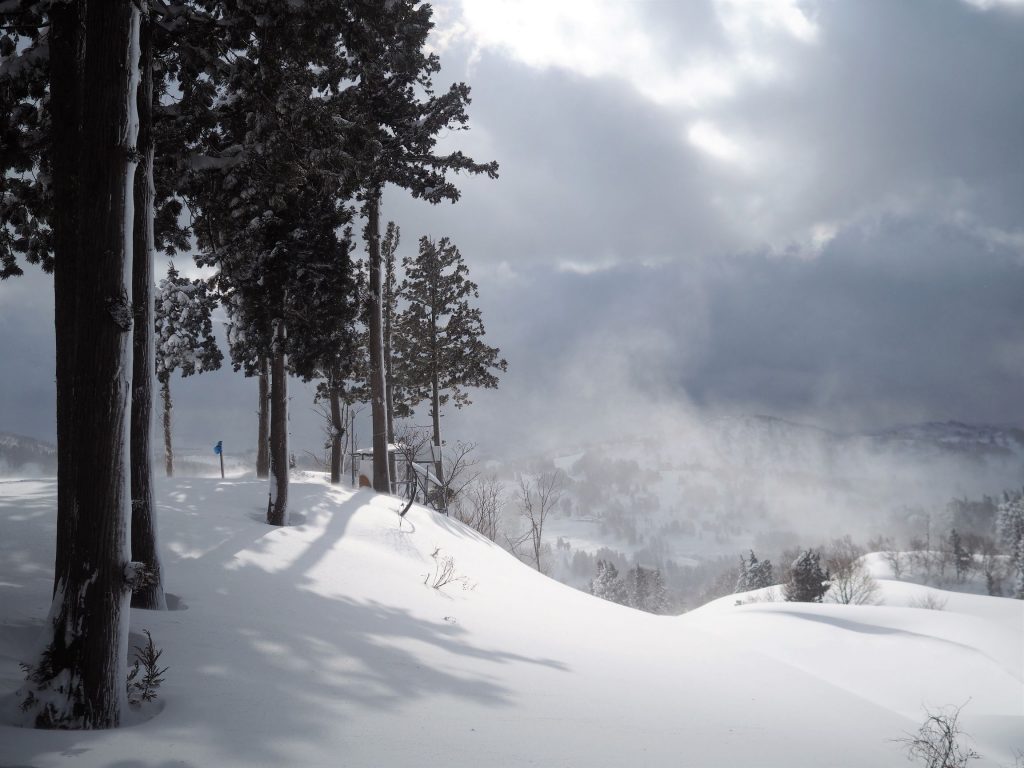 Ski and Snow-shoe experiences in Yamakoshi at Koshi Kogen - VOYAPON