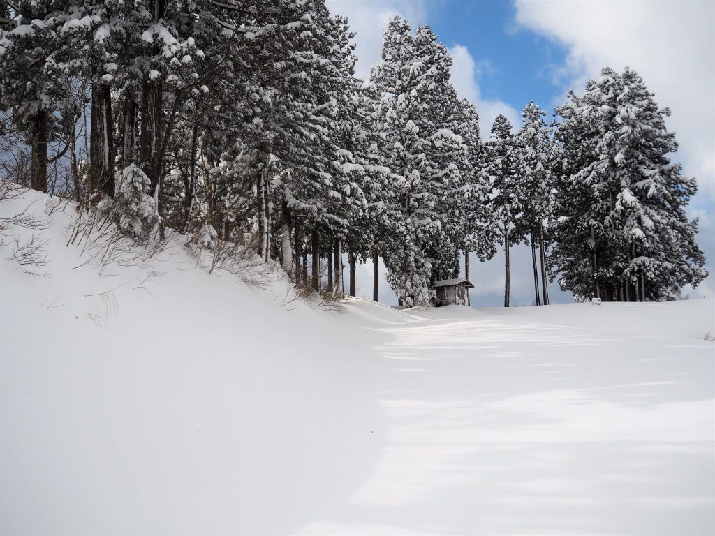 Ski and Snow-shoe experiences in Yamakoshi at Koshi Kogen - VOYAPON