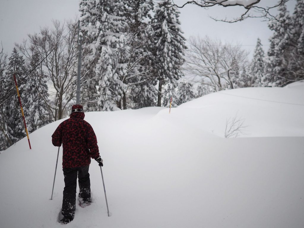 Ski and Snow-shoe experiences in Yamakoshi at Koshi Kogen - VOYAPON
